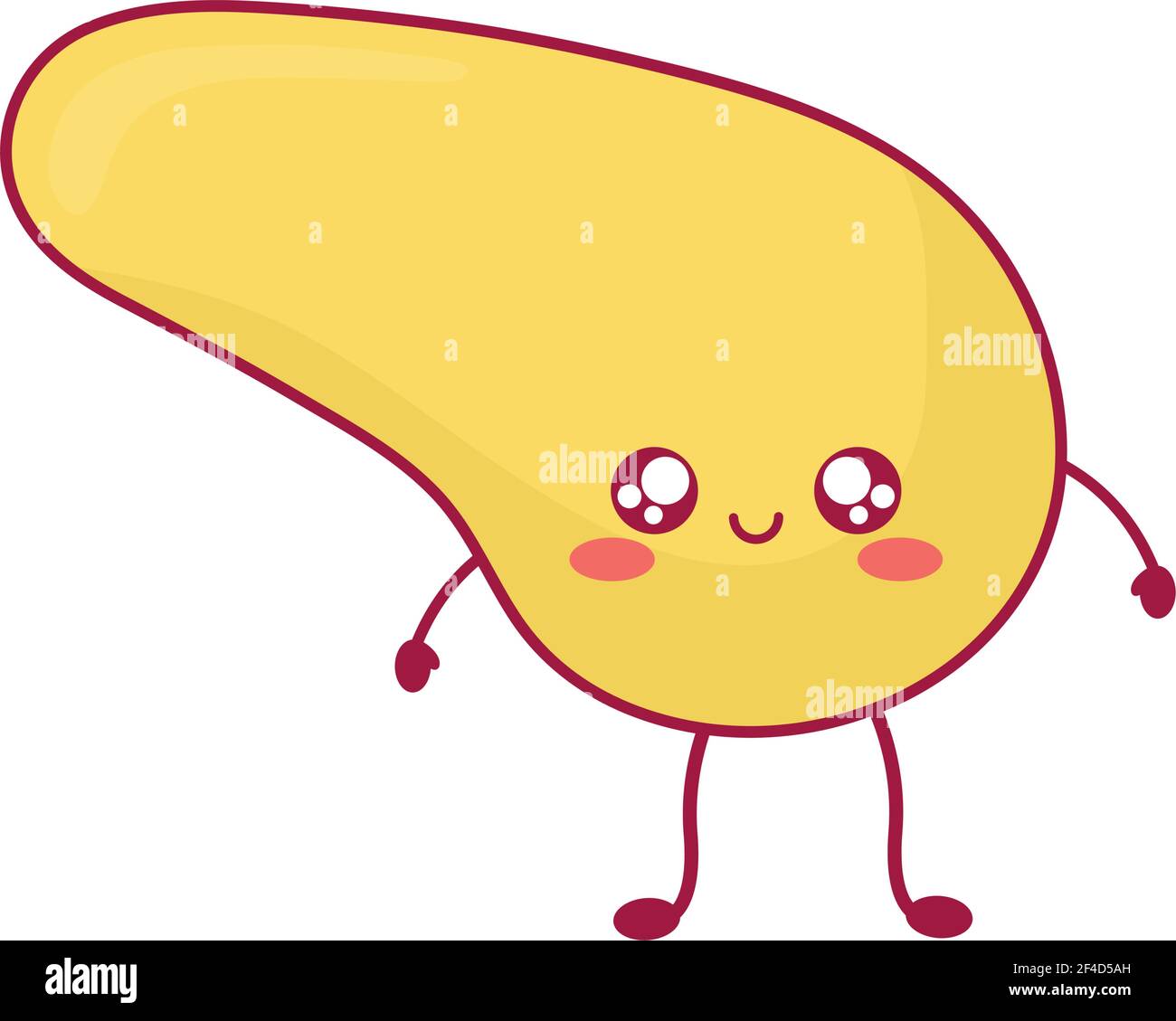 cute pancreas icon Stock Vector Image & Art - Alamy