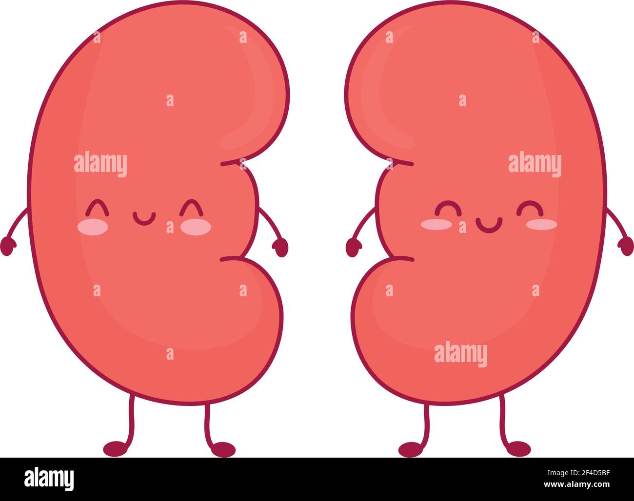 cute kidneys icons Stock Vector Image & Art - Alamy