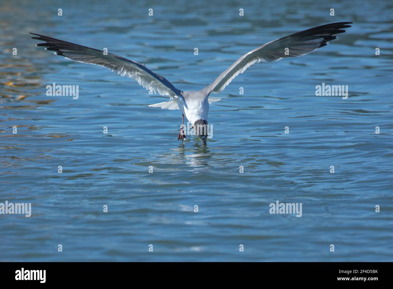 People dipping feet in water hi-res stock photography and images - Alamy