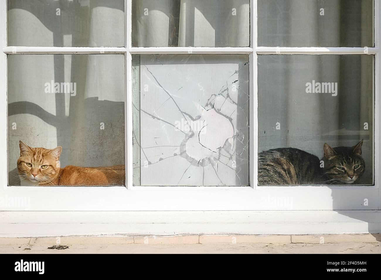 Broken window house looking in hi-res stock photography and images - Alamy