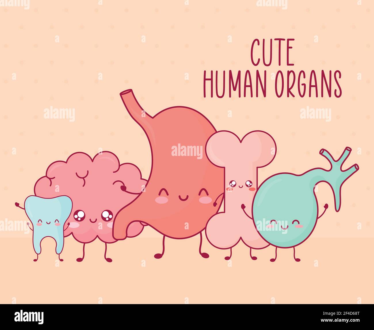 cute organs poster Stock Vector Image & Art - Alamy
