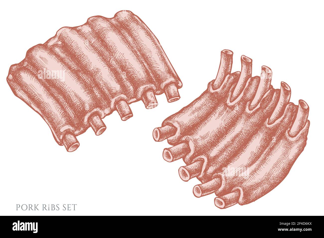 Vector set of hand drawn pastel Pork ribs Stock Vector Image & Art - Alamy