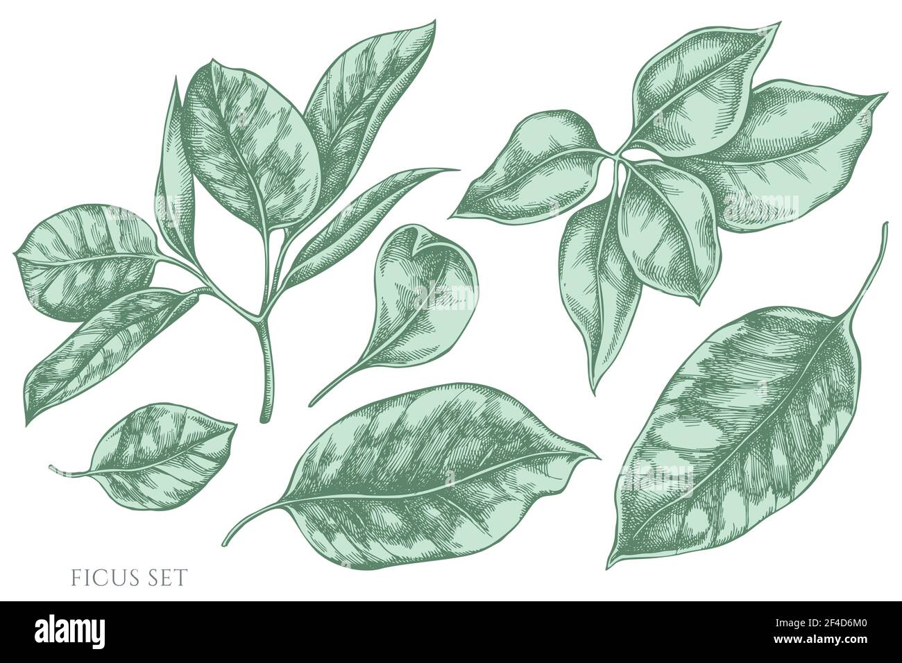 Hand fiddle Cut Out Stock Images & Pictures - Alamy