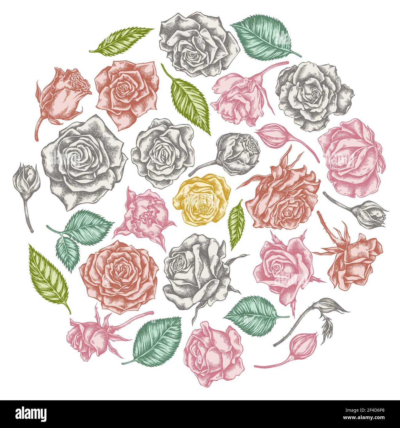 Round floral design with pastel roses Stock Vector Image & Art - Alamy