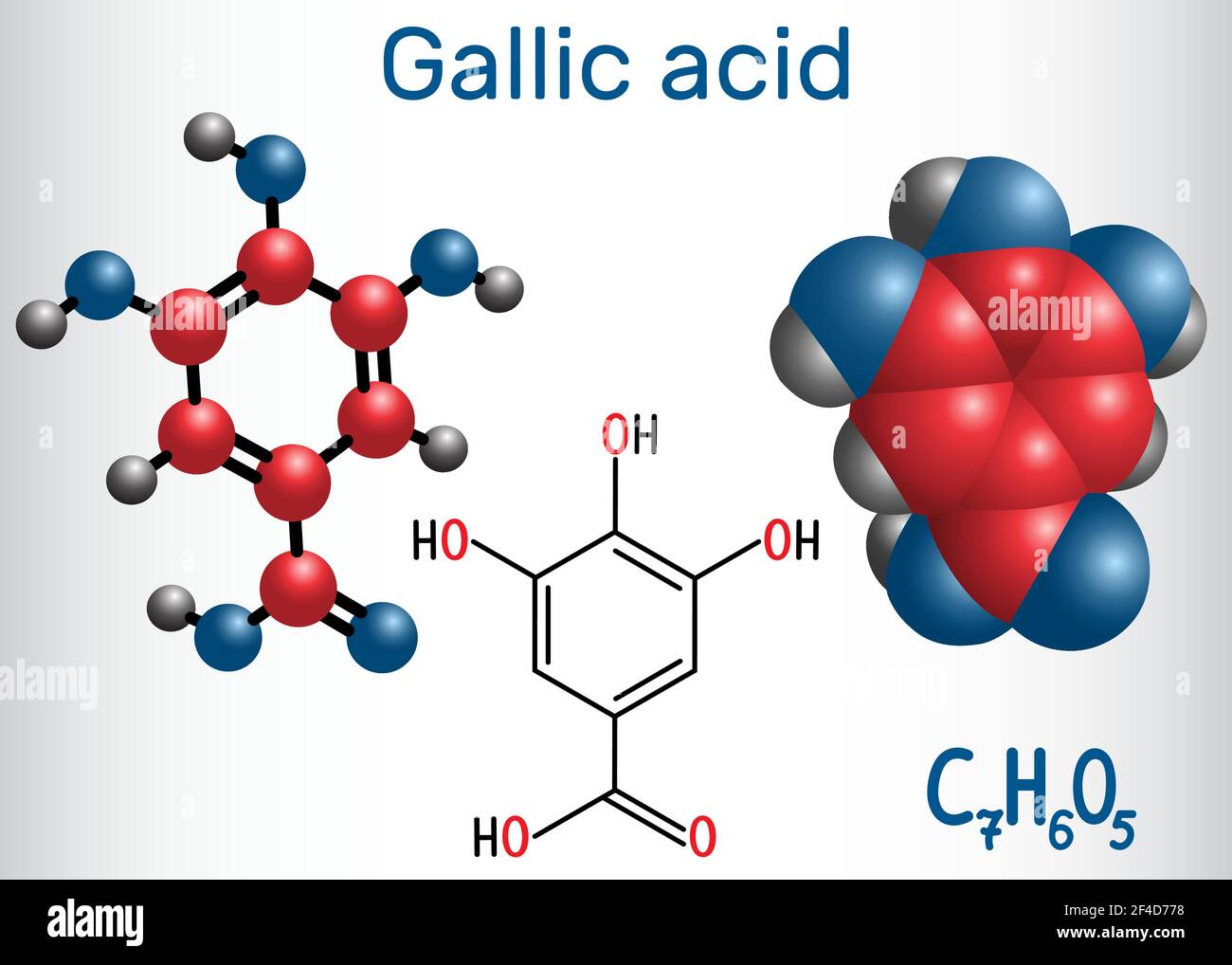 Oak bark tannin Stock Vector Images - Alamy