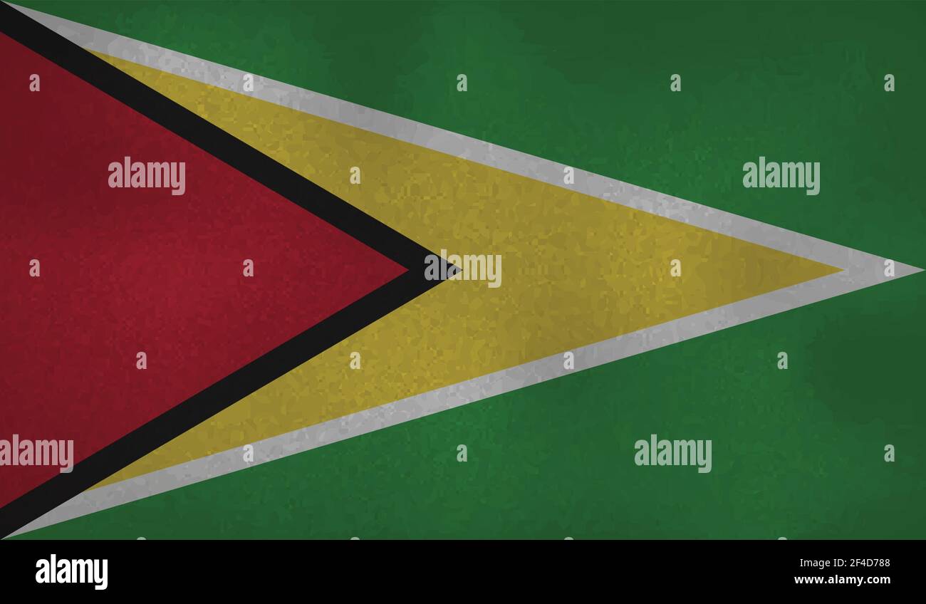 Guayana flag country isolated vector illustration design Stock Vector ...