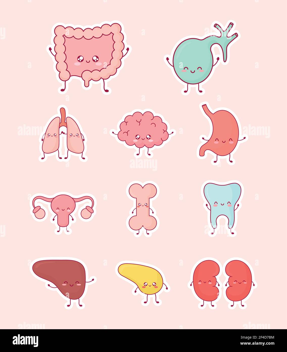 cute human organs Stock Vector Image & Art - Alamy