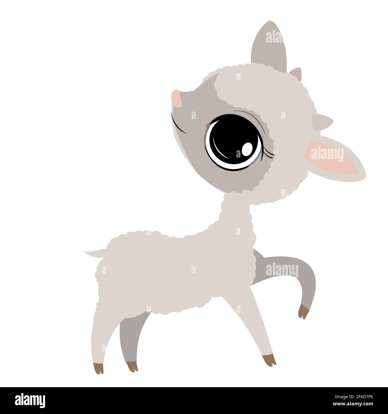 Little baby lamb. Ram. Sheep. Isolated object on a white background ...