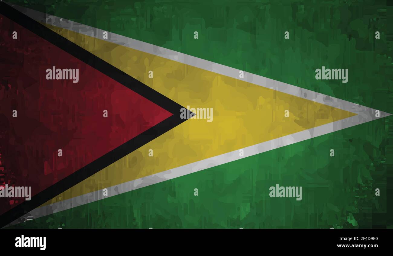 Guayana flag country isolated vector illustration design Stock Vector ...