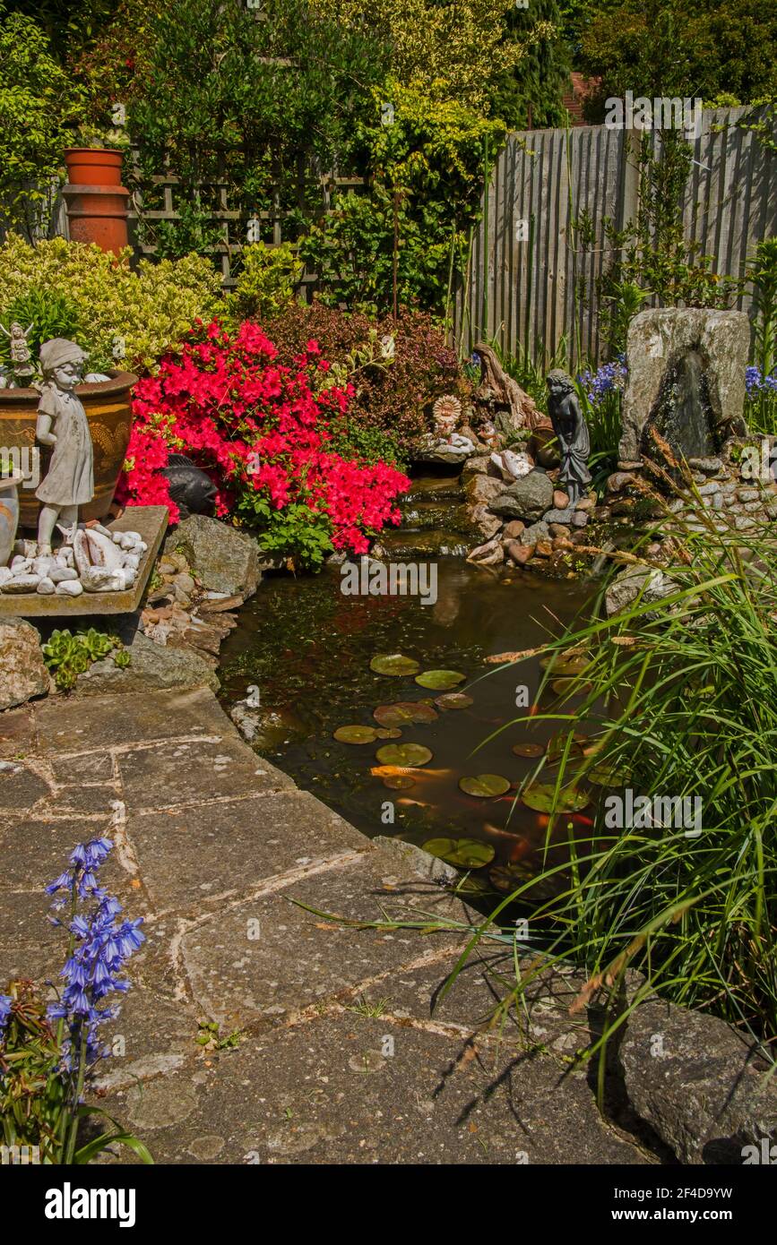 Garden pond scene Stock Photo - Alamy