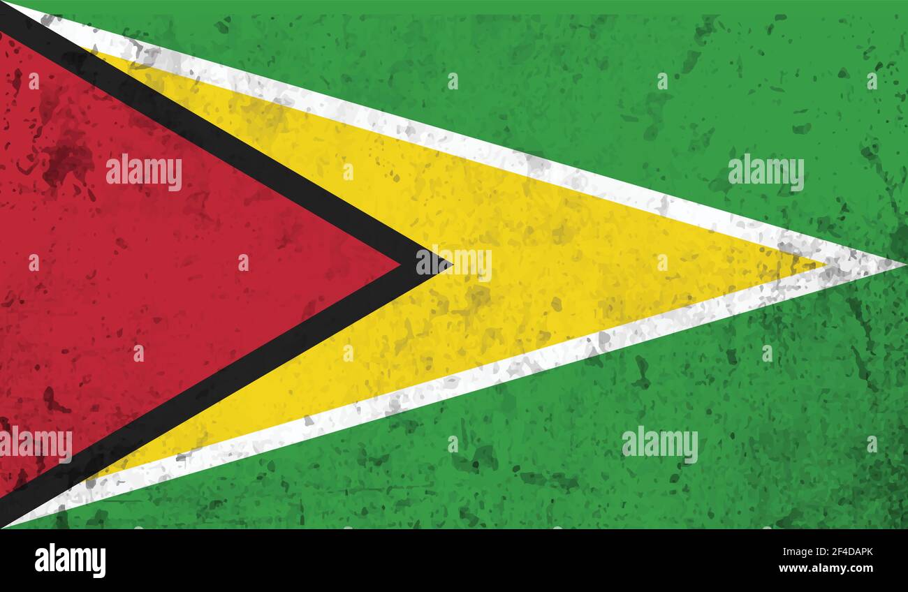 Guayana flag country isolated vector illustration design Stock Vector ...