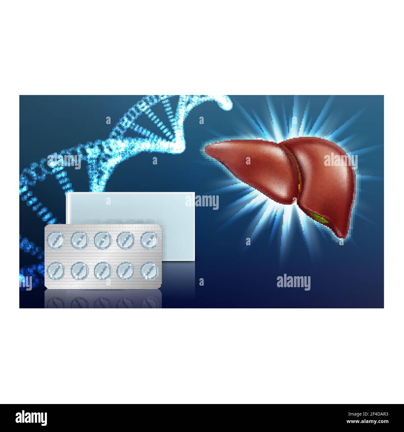 liver Protect Liver Cells Promo Banner Vector Stock Vector Image & Art ...
