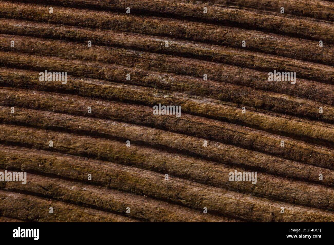 Detailed macro photo of an old wooden fence post showing detailed wood ...