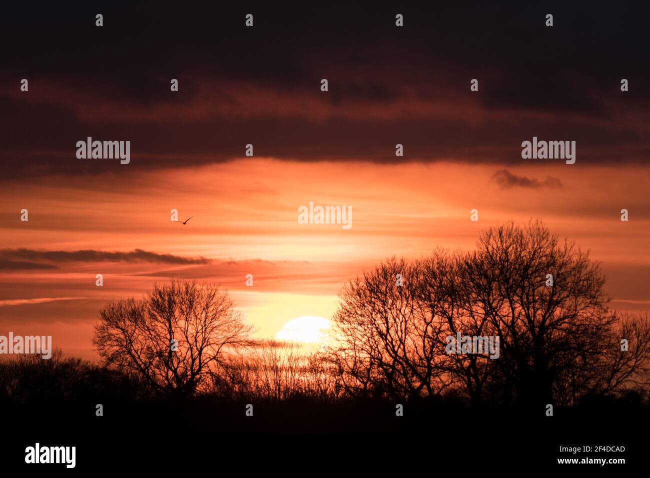 Sunset skyscape hi-res stock photography and images - Alamy