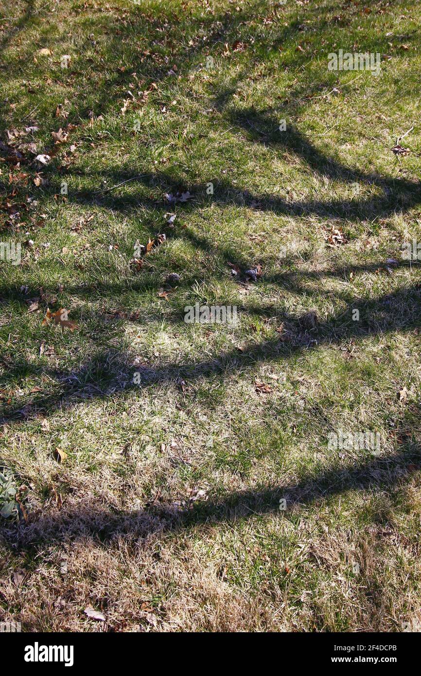 Tree Shadow on Grass Stock Photo - Alamy