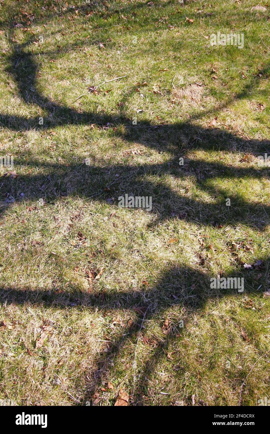 Tree Shadow on Grass Stock Photo - Alamy