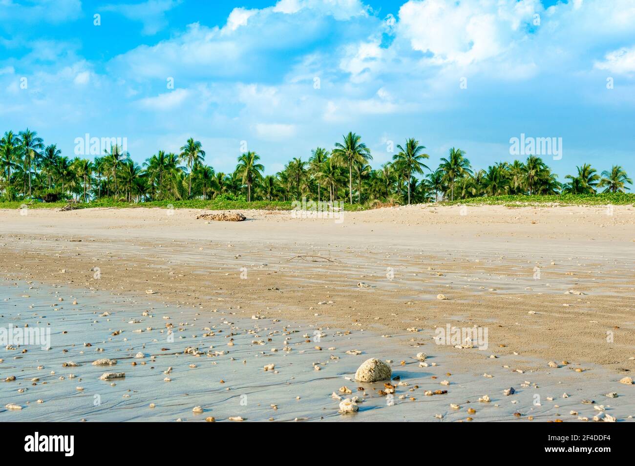 The beautiful landscape of the deserted Indian Ocean sandy beach ...