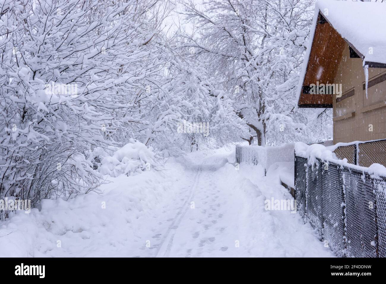 Sidewalks covered in heavy snow in Boulder, Colorado Stock Photo - Alamy