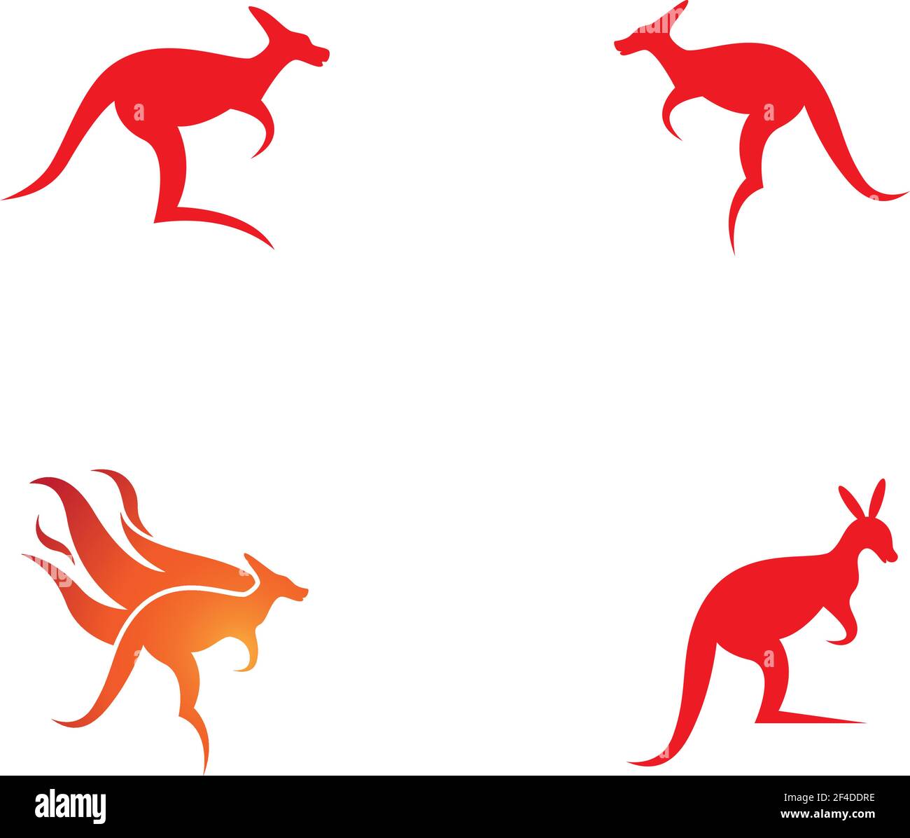 Kangaroo logo template vector icon illustration design Stock Vector ...