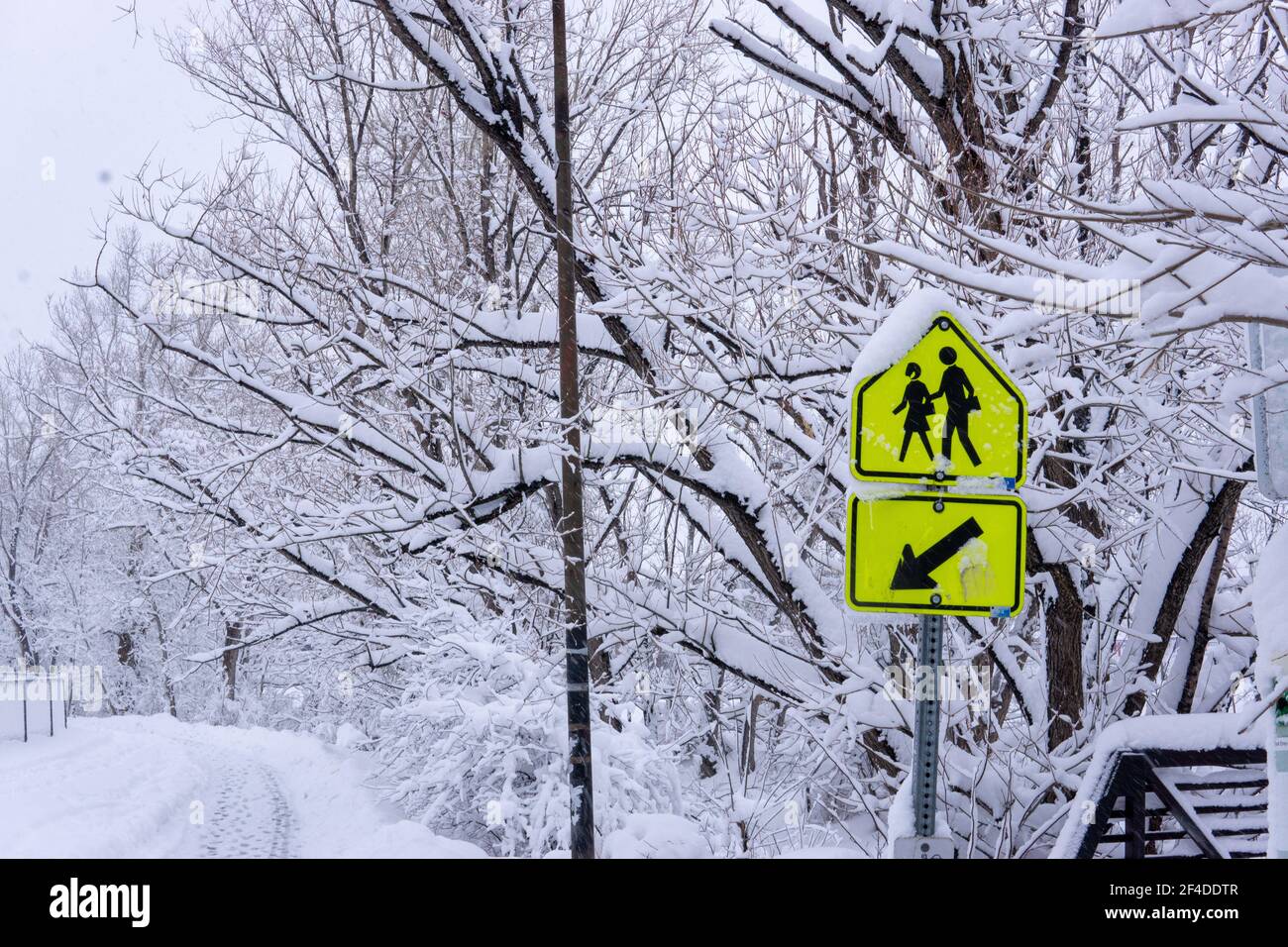 Crosswalk in Boulder Colorado during heavy snow storm Stock Photo - Alamy
