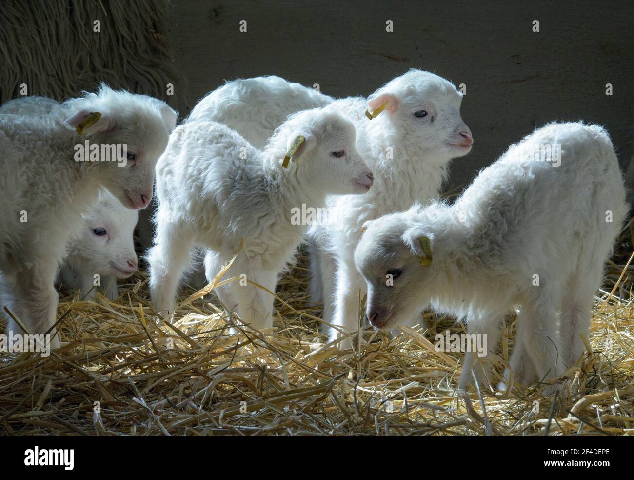 Christoph behling hi-res stock photography and images - Alamy