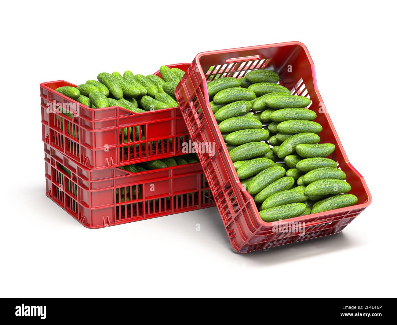Cucumbers in plastic crates isolated on white. 3d illustration Stock ...