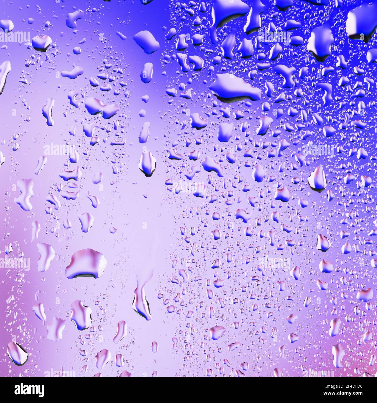 Rain condensation drop hi-res stock photography and images - Alamy