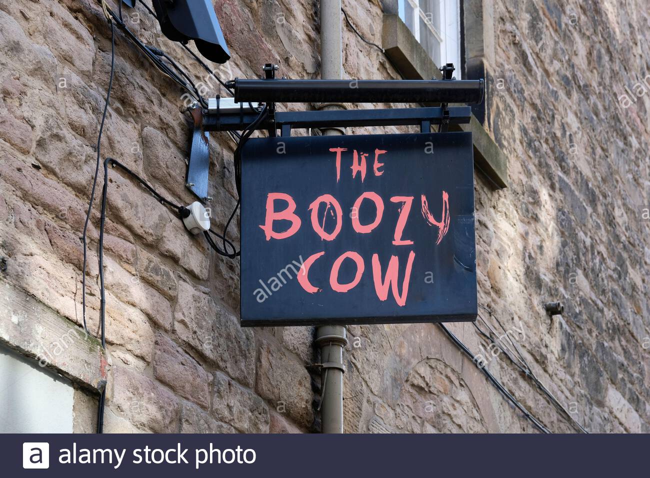 The Boozy Cow Bar & Grill, Frederick Street, Edinburgh, Scotland Stock ...