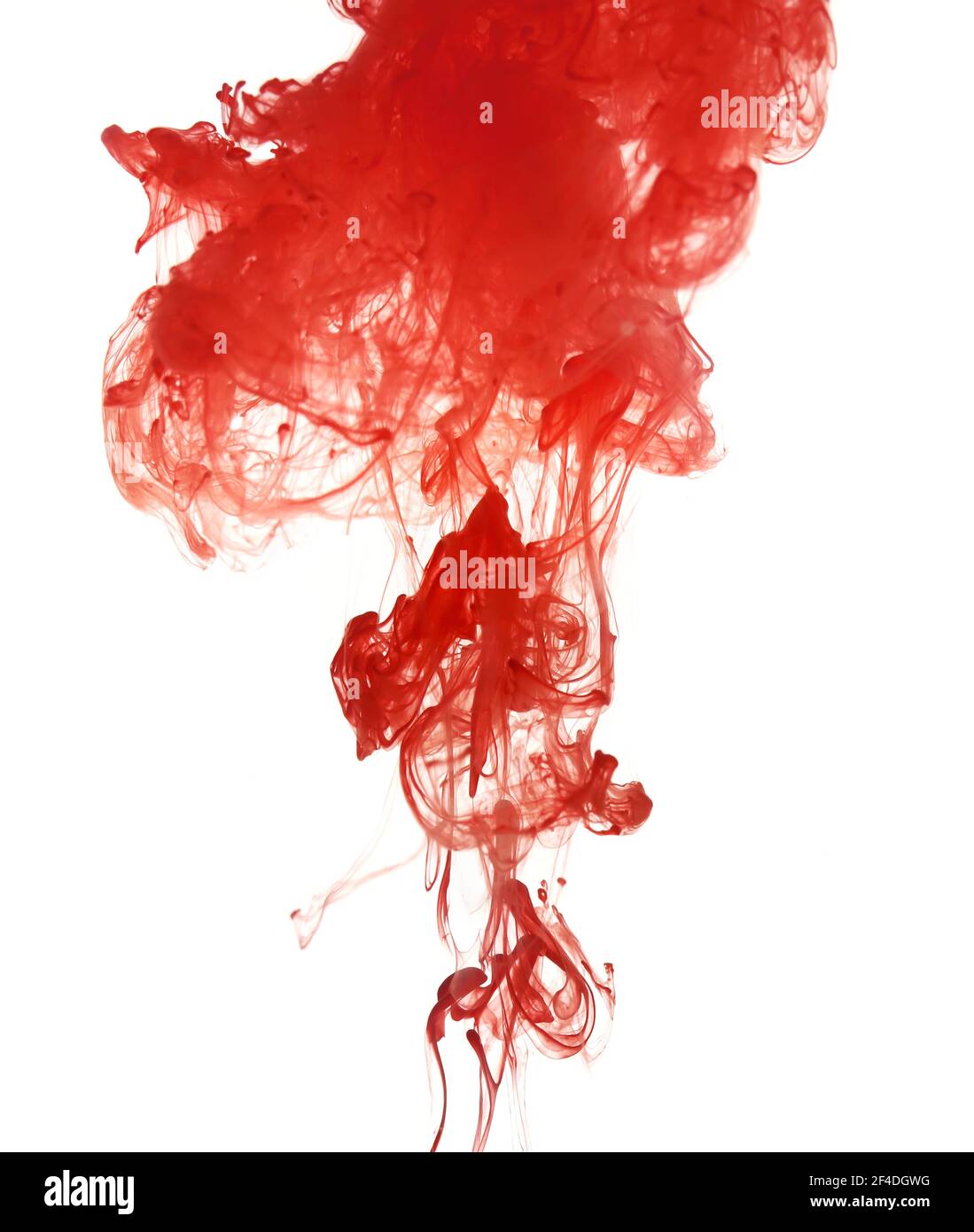 Abstract pattern falling into the water drop of red paint ink on a ...