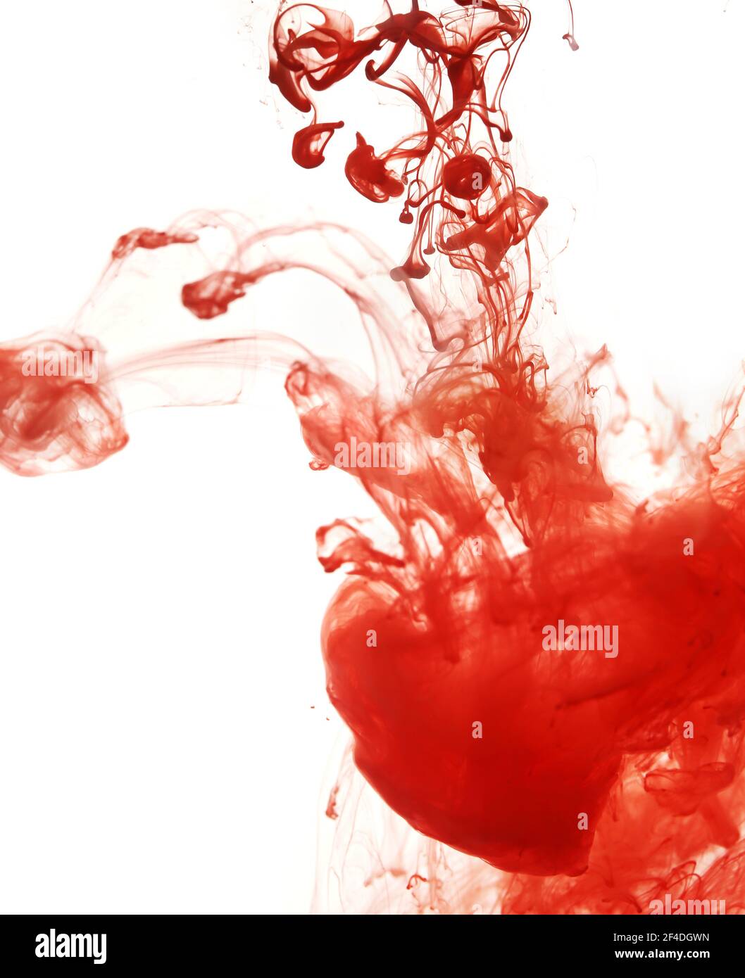 Abstract pattern falling into the water drop of red paint ink on a ...