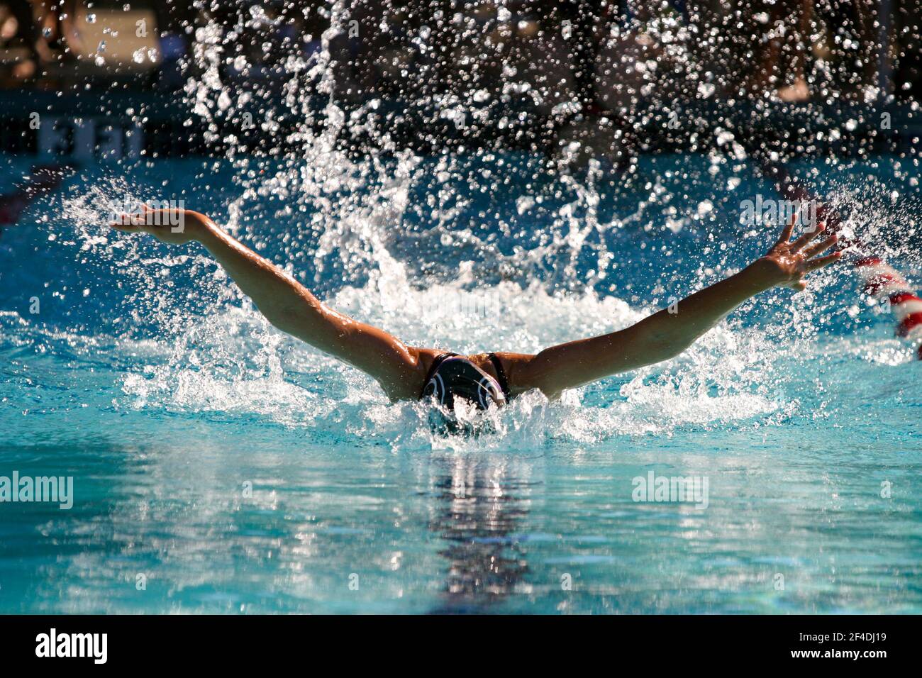 Butterfly stroke hi-res stock photography and images - Alamy