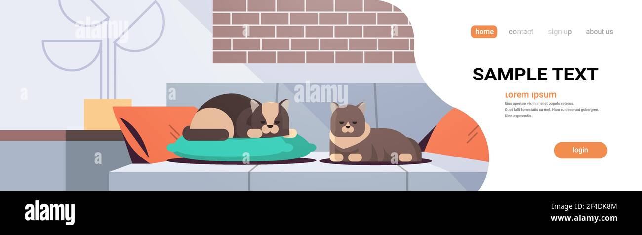 two cats sleeping on pillow fluffy adorable cartoon animals relaxing on ...