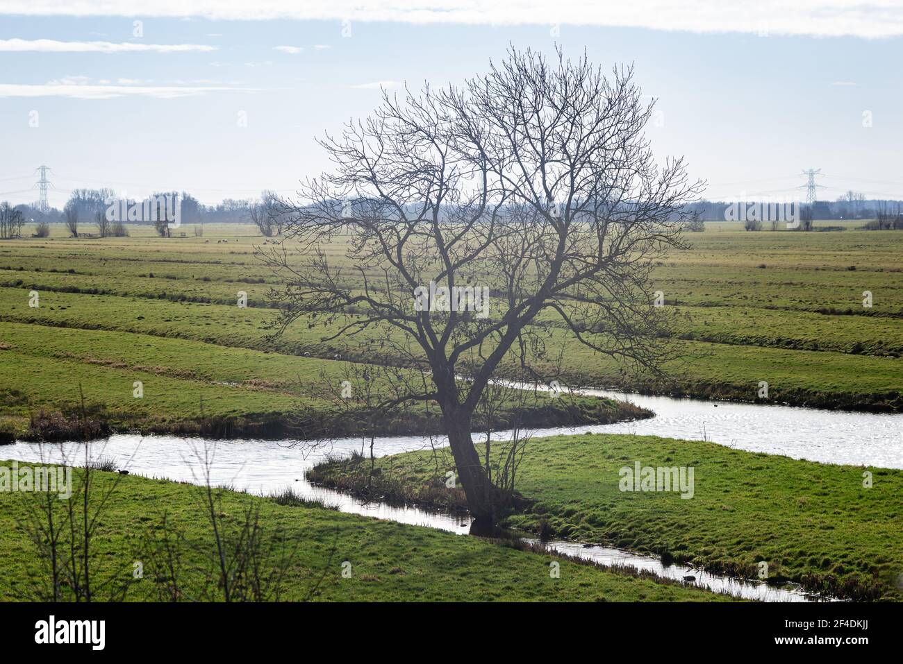 Polder plain hi-res stock photography and images - Alamy