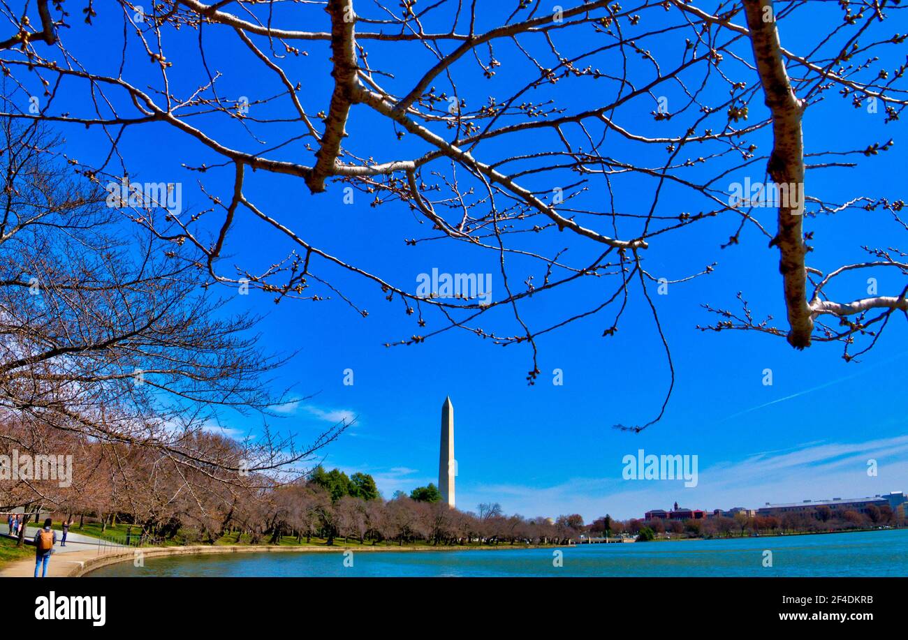 The Washington Monument on a spring day in Washington D.C Stock Photo ...
