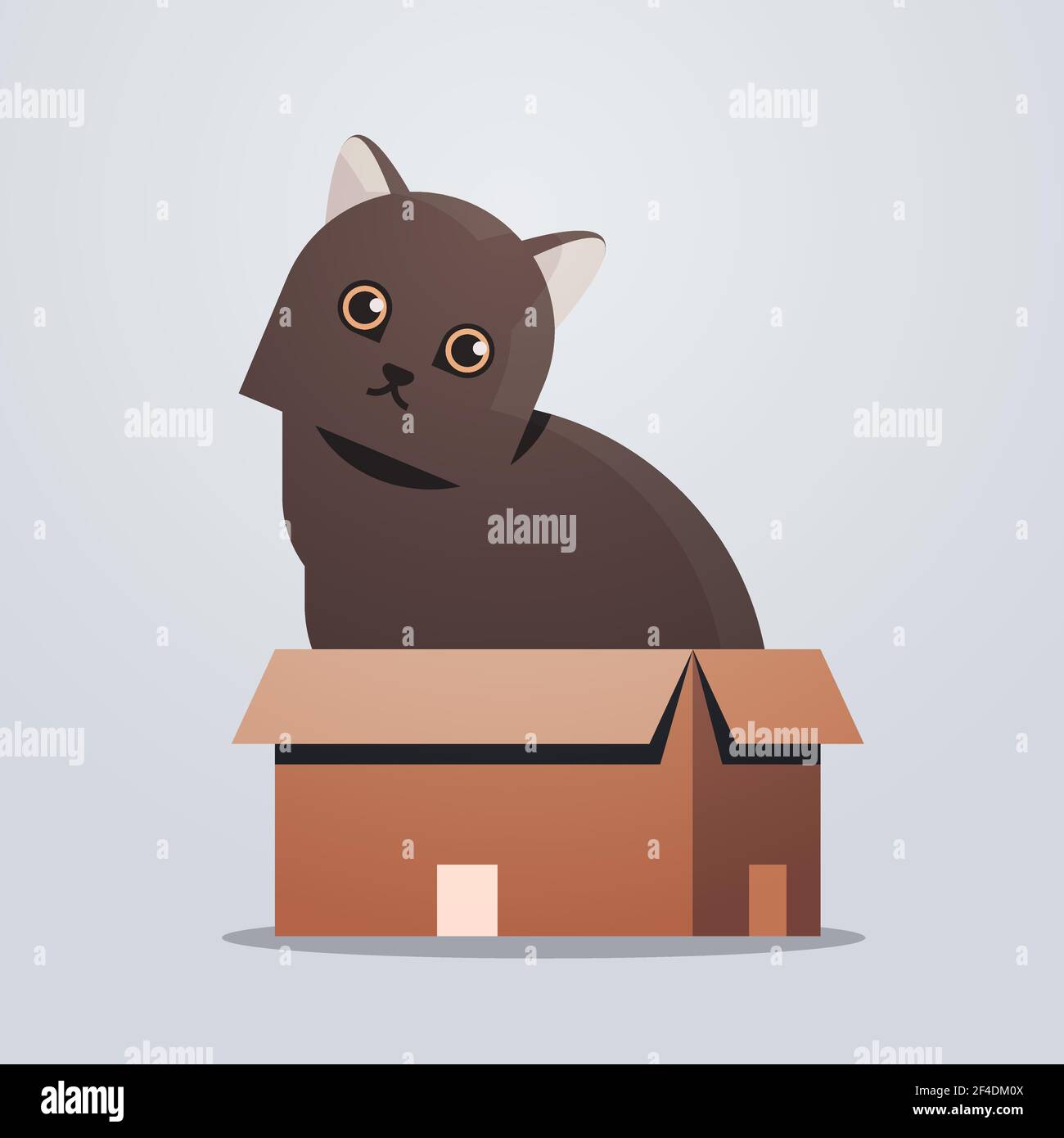 Cat sitting in cardboard Stock Vector Images - Alamy