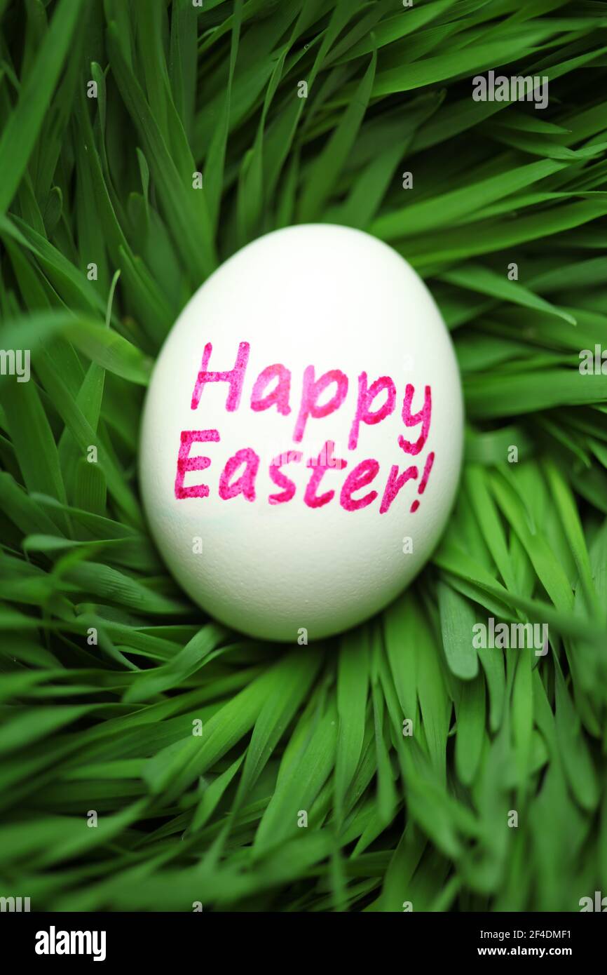 Single Happy Easter egg hidden in grass Stock Photo - Alamy