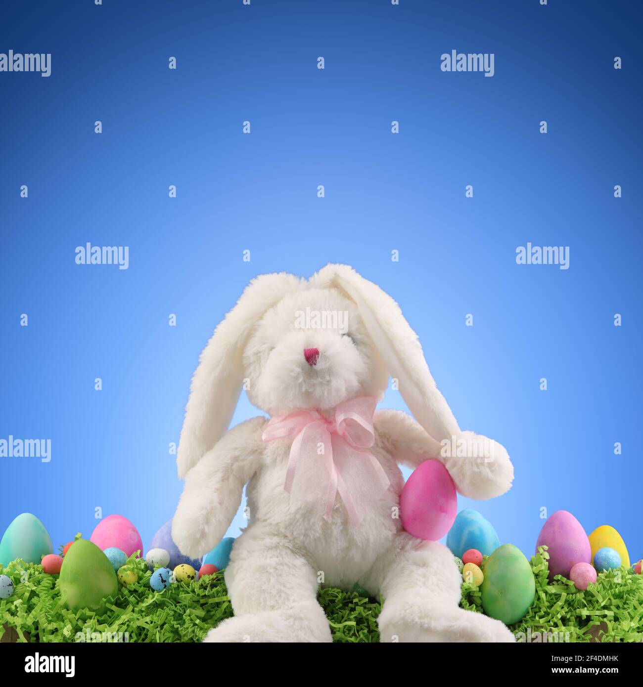 Stuffed animal Easter Bunny surrounded with painted Easter eggs and ...