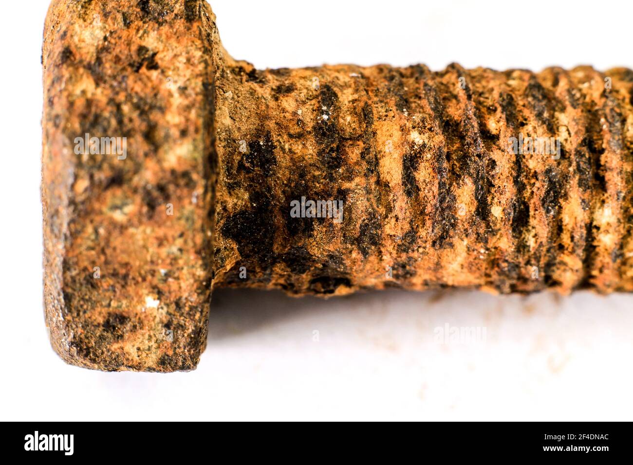 Macro photography of rusty bolt on white background Stock Photo - Alamy