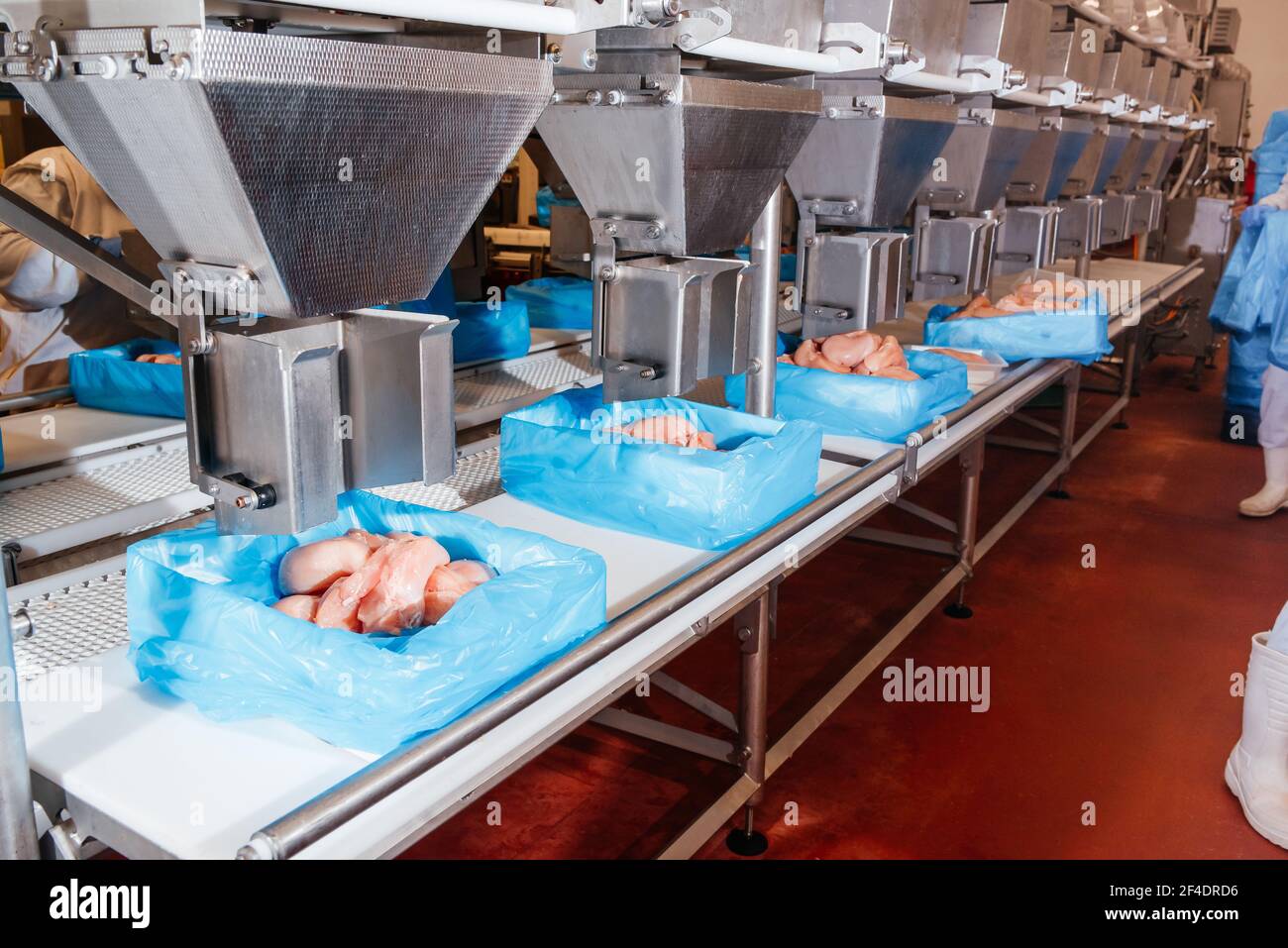 Food products meat chicken in plastic packaging on the conveyor.Chicken ...