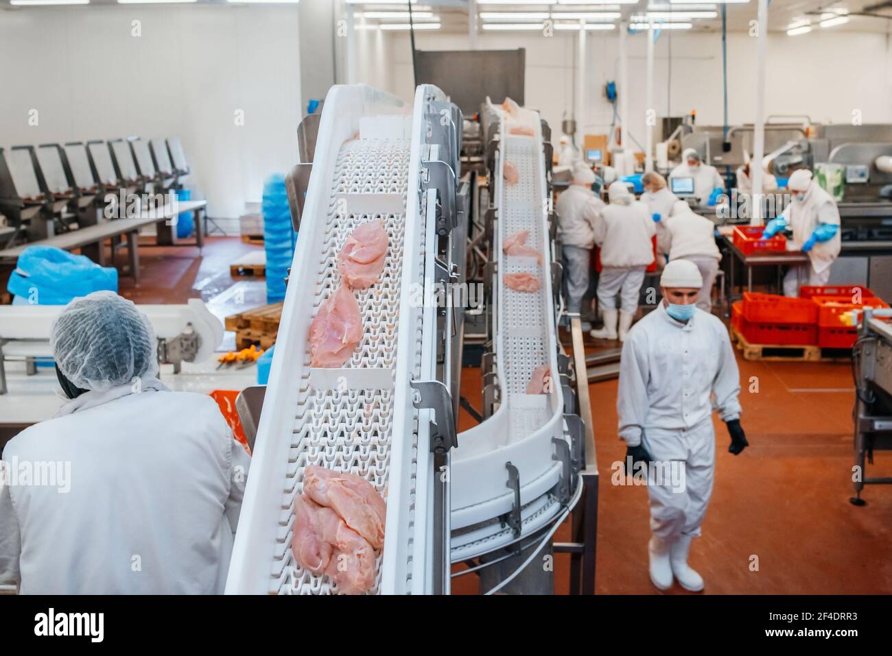 Meat processing plant.People working at a chicken factory.Automated ...