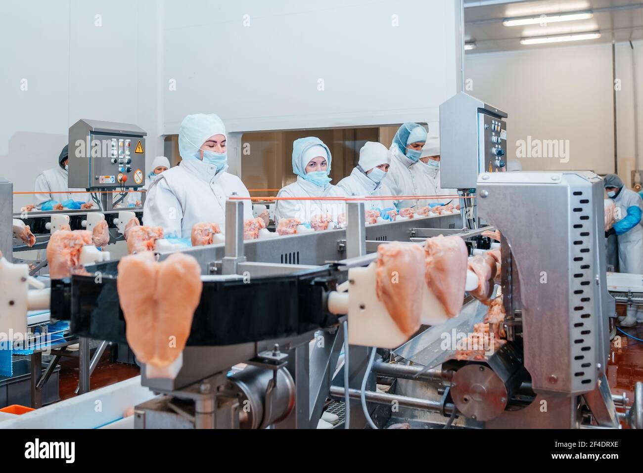 Production line in the food factory.Factory for the production of food ...