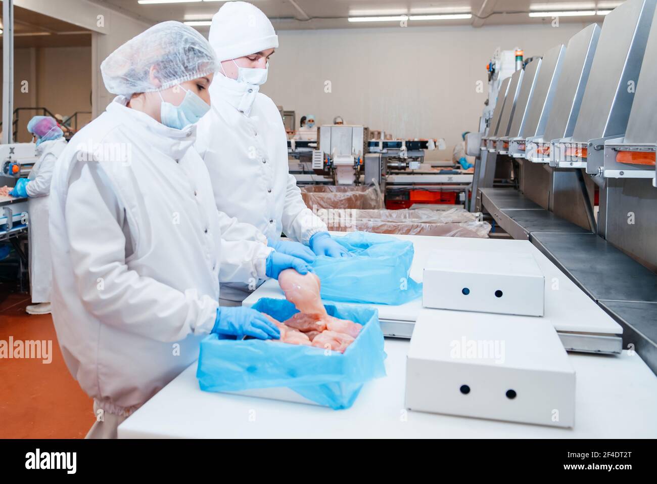 Production line with packaging and cutting of meat.Chicken fillet ...
