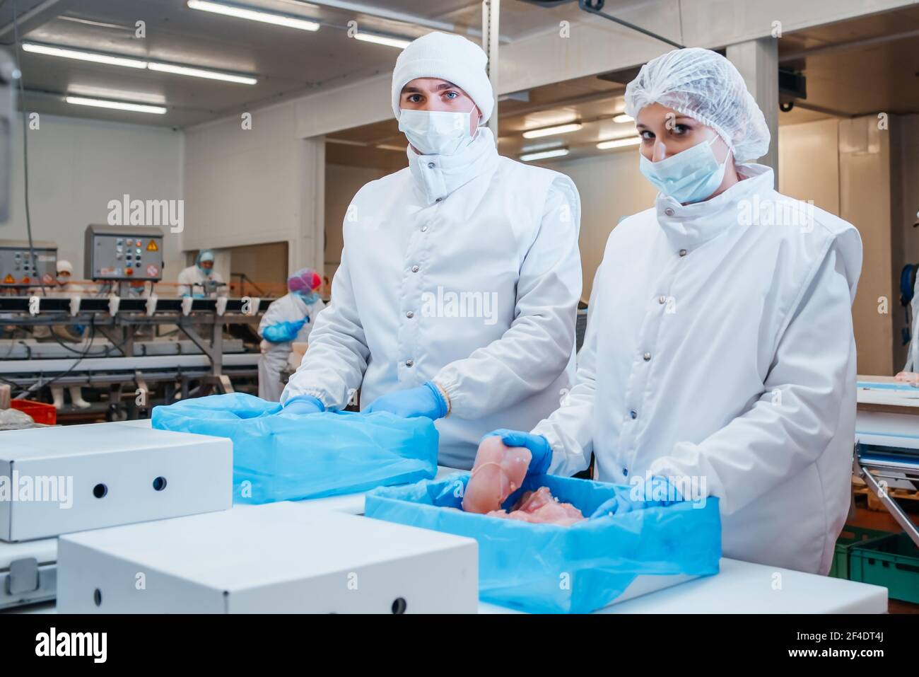 Food products meat chicken in plastic packaging on the conveyor.Line ...