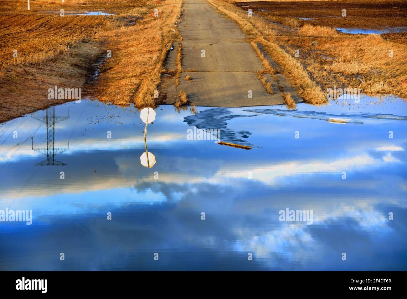 Water reflection at road hi-res stock photography and images - Alamy