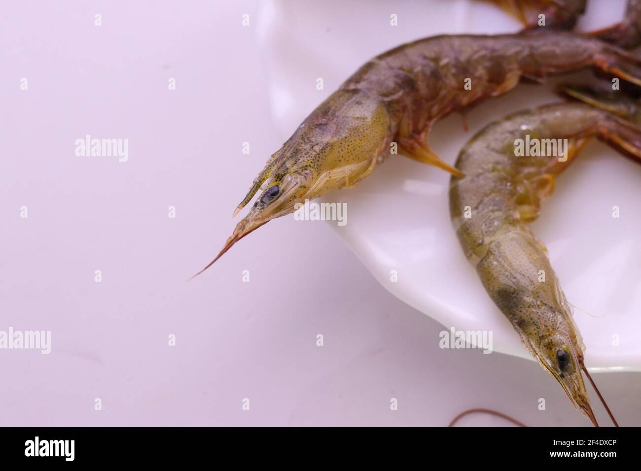 A top view of two raw Indian prawns laid out on a plate Stock Photo - Alamy
