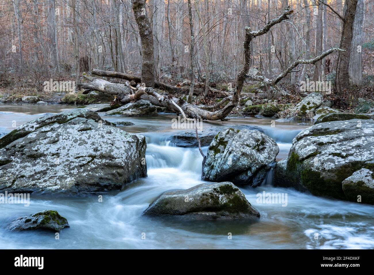 A beautiful view of stones in a stream with smooth flowing water Stock ...