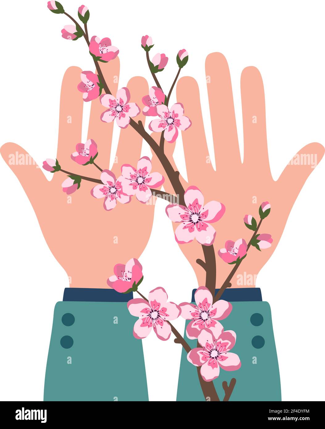 Male hands are holding a sakura branch Stock Vector Image & Art - Alamy