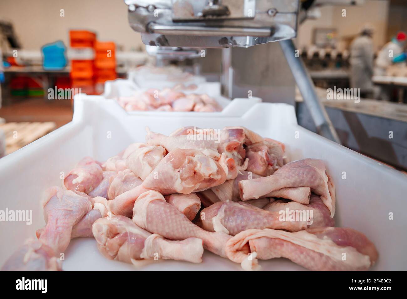 Industrial equipment at a meat factory.Chicken fillet production line ...