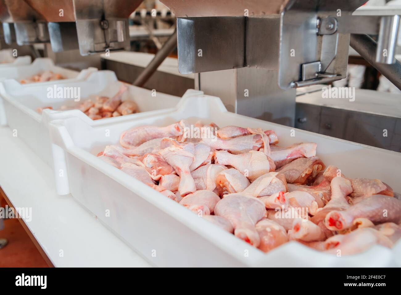 Industrial equipment at a meat factory.Chicken fillet production line ...