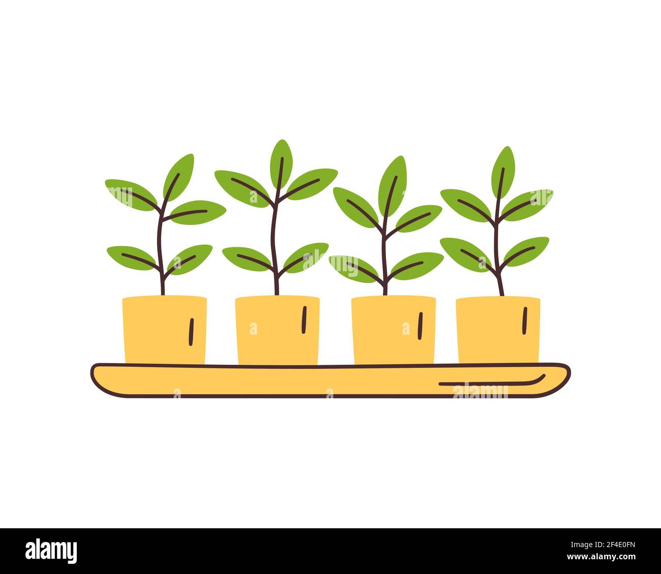 Plant in nursery pot Stock Vector Images - Alamy
